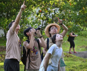 Singapore Bird Race – Nature Society Singapore