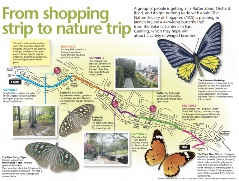 Butterfly & Insect Group – Nature Society Singapore