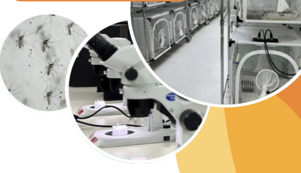 Visit NEA’s Mosquito Production Facility – Nature Society Singapore