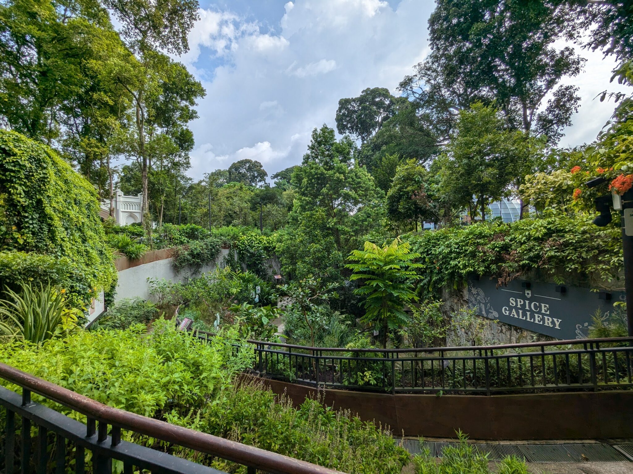 Go Green SG: Plant Walk at Fort Canning Spice Garden – Nature Society ...