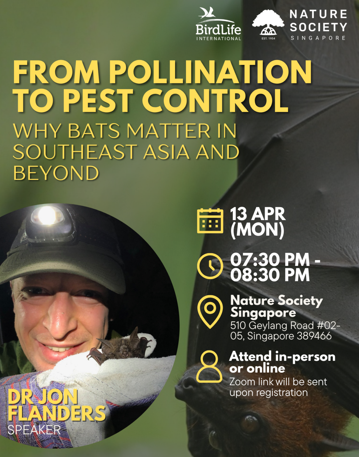 [Talk] From Pollination to Pest Control: Why Bats Matter in Southeast ...